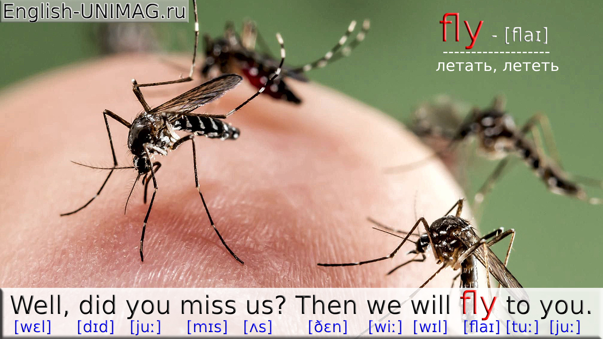 Английский самостоятельно. Используем загадки RIDDLES для пополнения лексики и навыка говорения.