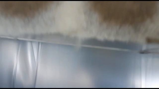 Fastjet Нанесение маркировки на пленку экструзия-(1080p30)