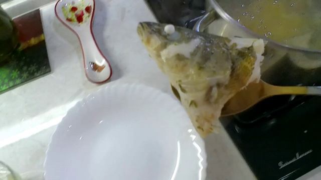 Приготовление ухи классической из судака.