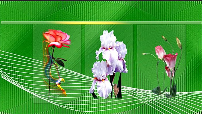 Цветы и музыка для души Beautiful flowers and music.mp4