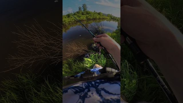 Испугался шершня