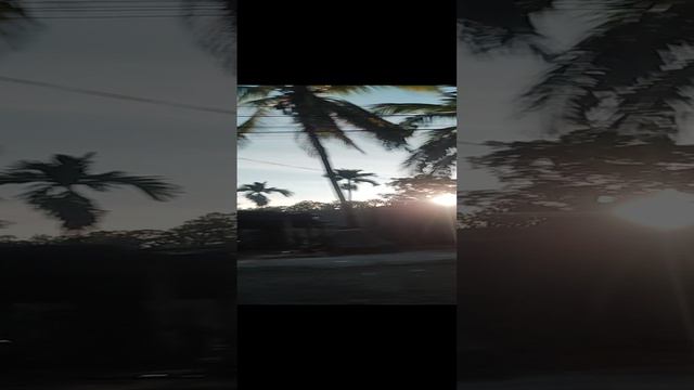 Шри-Ланка. Горная деревня и цена экскурсии Элла.
Шри Ланка за 58 тысяч рублей с перелетом.Тутси влог