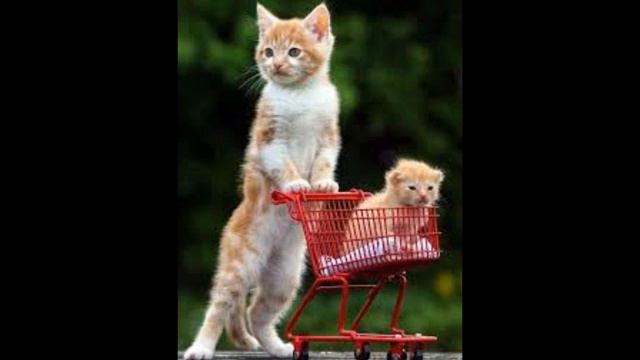 ТЕСТ НА ПСИХИКУ (НЕ ДЛЯ СЛАБОНЕРВНЫХ)