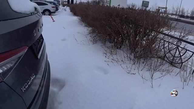 SKODA KODIAQ  FL 2022 Первое знакомство