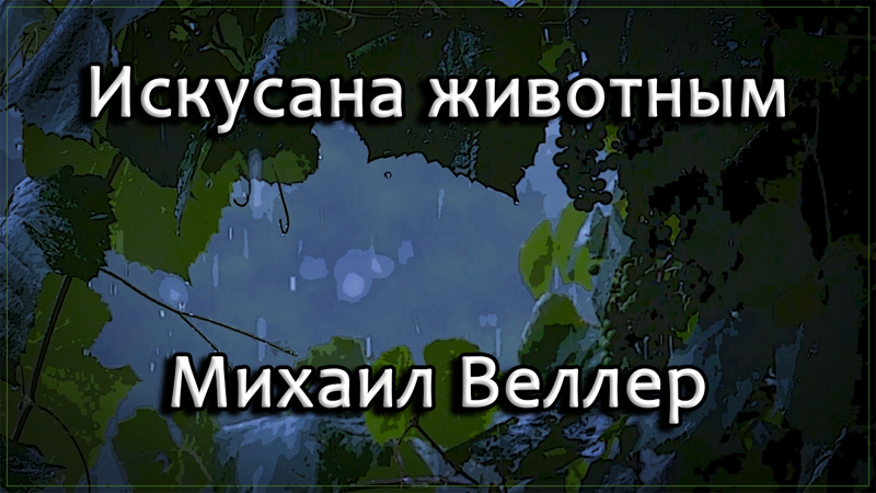 Искусана животным - Михаил Веллер.mp4
