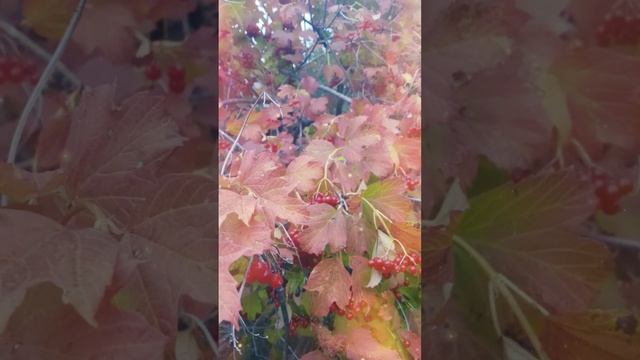 ?Сколько жизненной энергии в продуктах, заготовленных впрок? #здоровье #веды #shorts