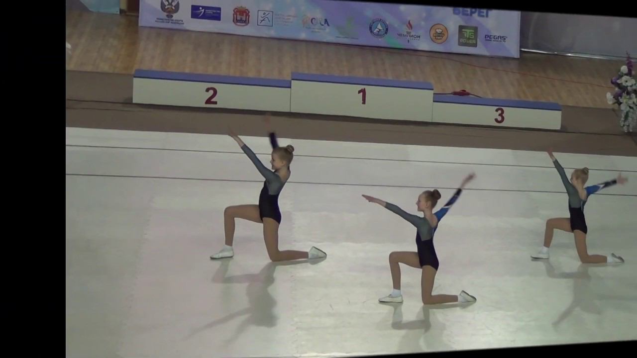 AEROBYC GYMNASTICS Lithuania Team