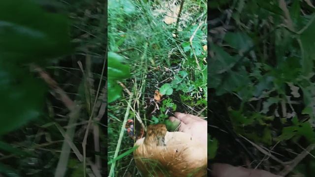 Вот это находка!👍