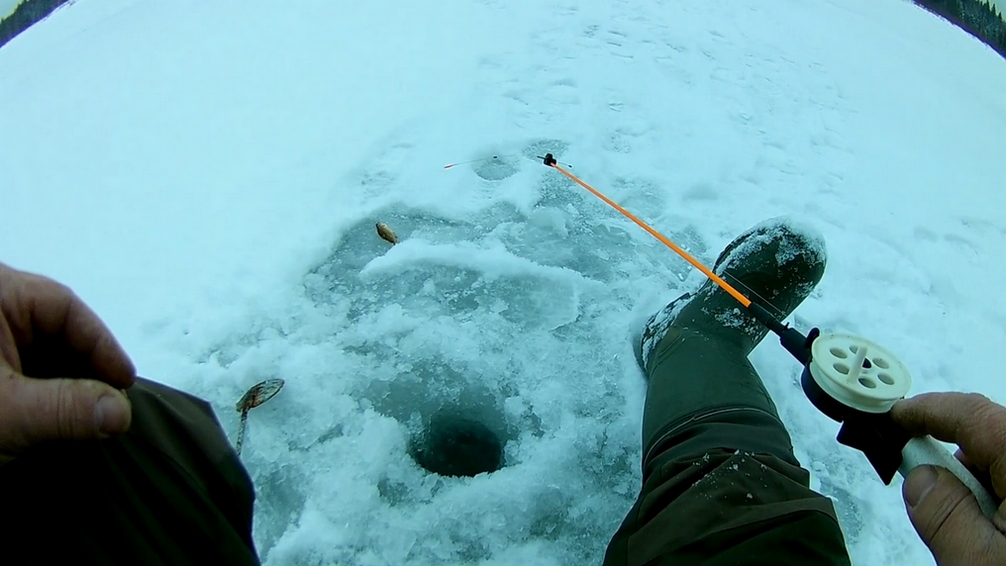 Зимняя рыбалка на лесном пруду.