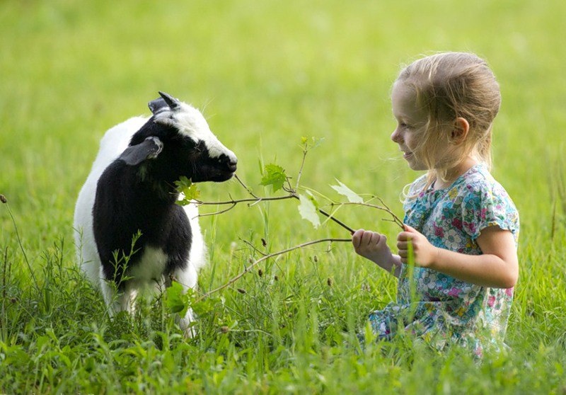 Съвест и срам. С няколко думи.mp4