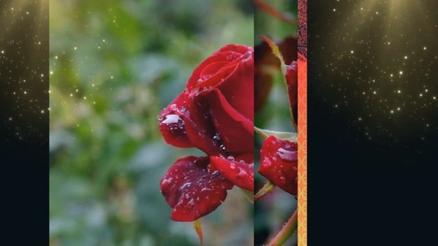 С ДНЕМ РОЖДЕНЬЯ!