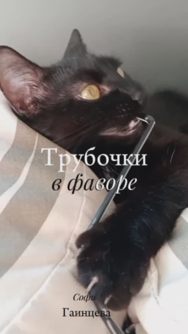 Трубочки в фаворе.
Софи Гаинцева.