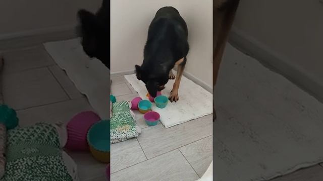 Домашняя работа