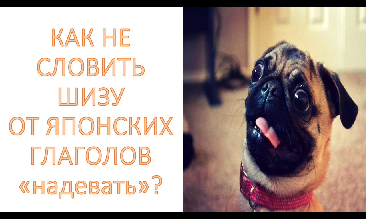 КАК НЕ СЛОВИТЬ ШИЗУ ОТ ЯПОНСКИХ ГЛАГОЛОВ со значением «надевать»?