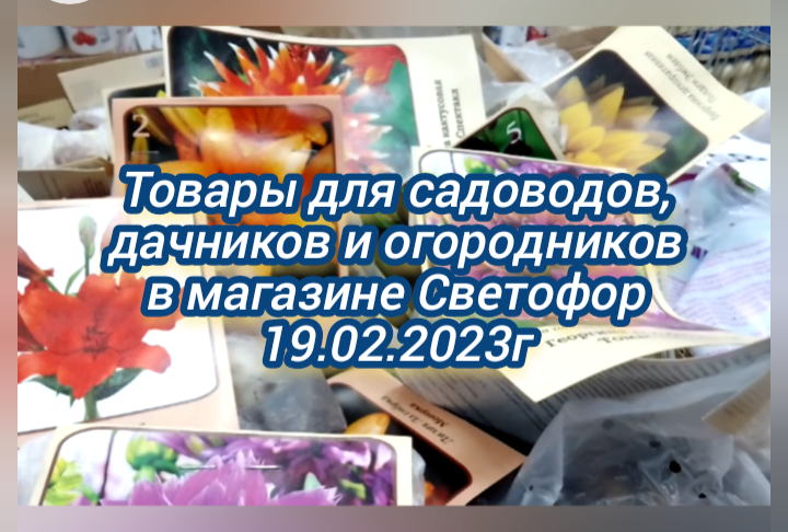 Товары для садоводов дачников и огородников в магазине Светофор 19.02.2023г