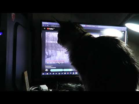 Венька у монитора