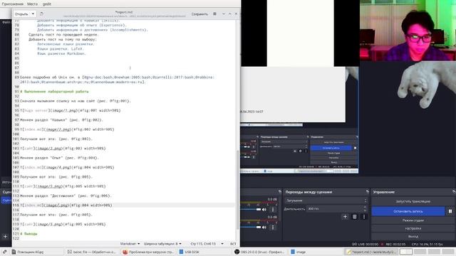 3 этап. Отчет.