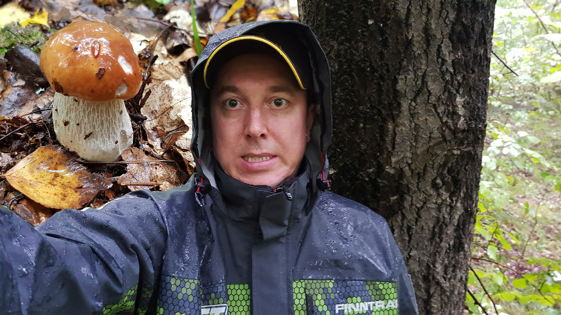 КАК я в дождь за ГРИБАМИ ходил. СБОР грибов 2021.