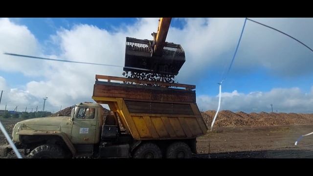 Один из видов работы на экскаваторе.Погрузка сахарной свёклы.