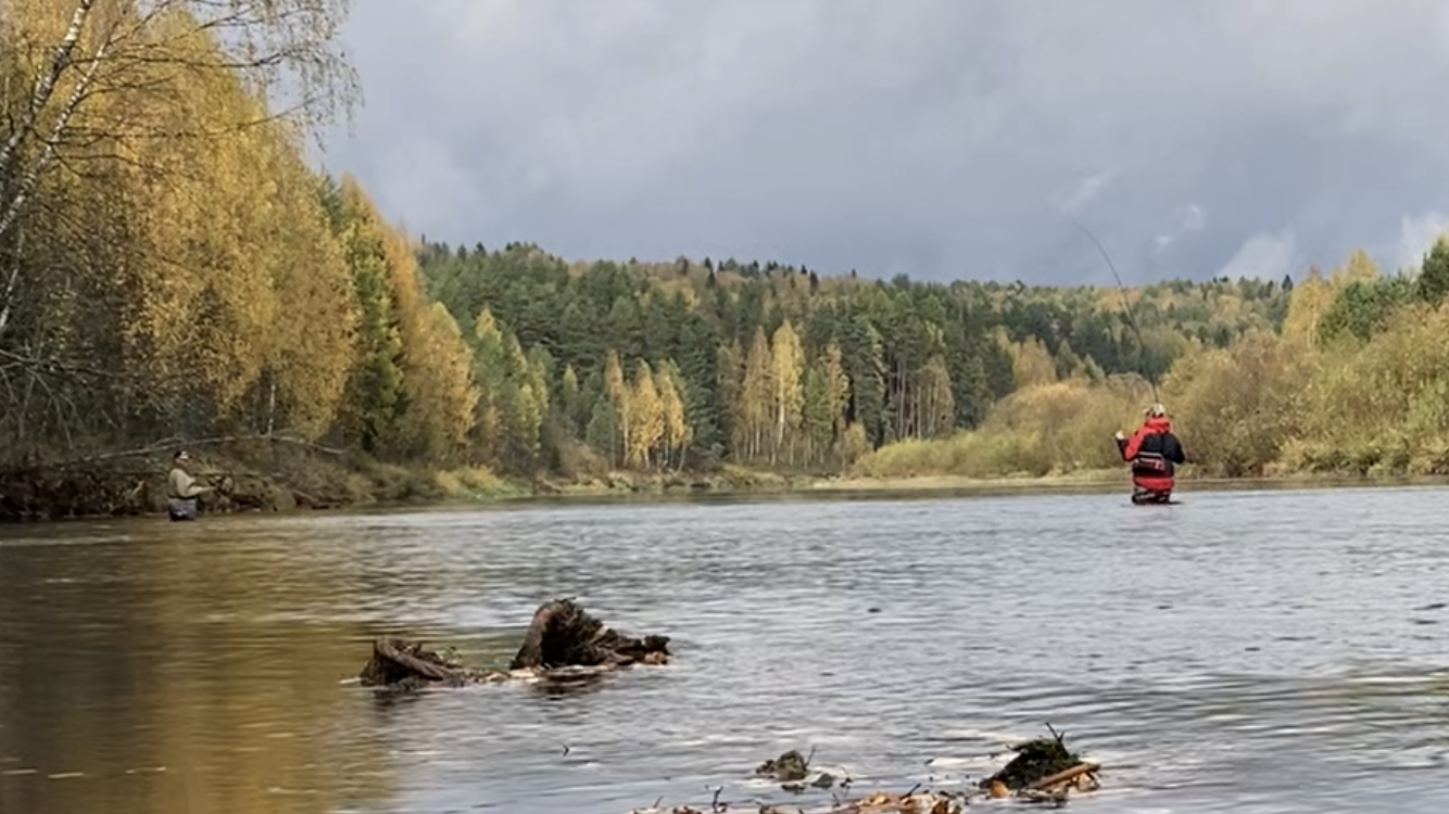 ПОД СМЕТАНИНО ЕВРОПЕЙСКИЙ ХАРИУС НА ВОЛОГОДЧИНЕ