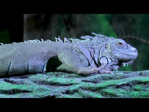 Приморский Океанариум ( Сентябрь 2023 )