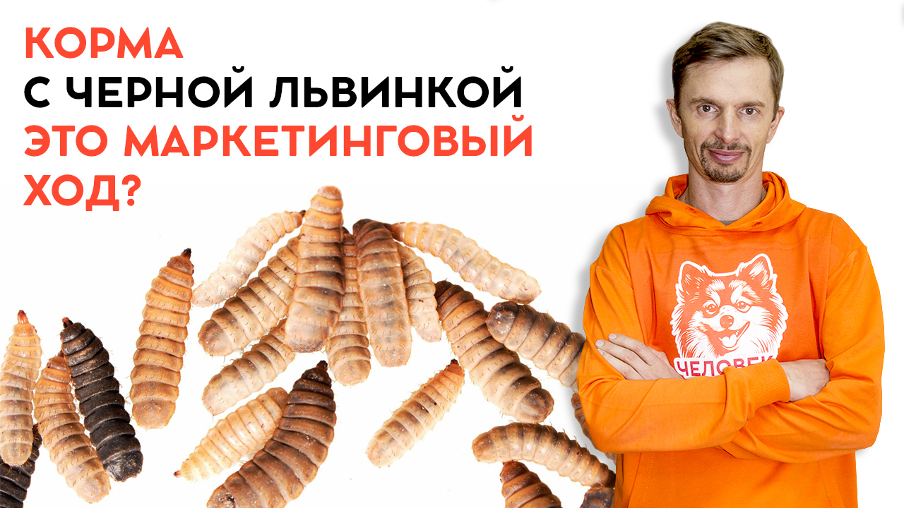 Личинка черной львинки в кормах для собак и кошек.