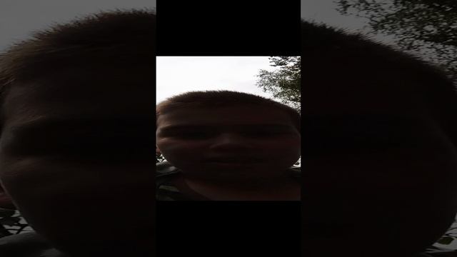 я на спиленных деревьях