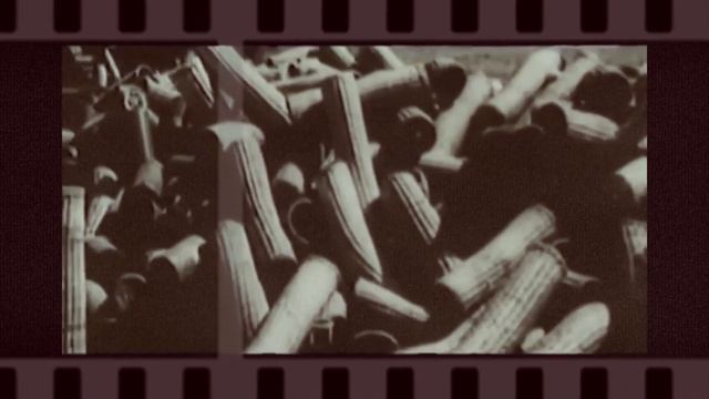 Оборона Крыма