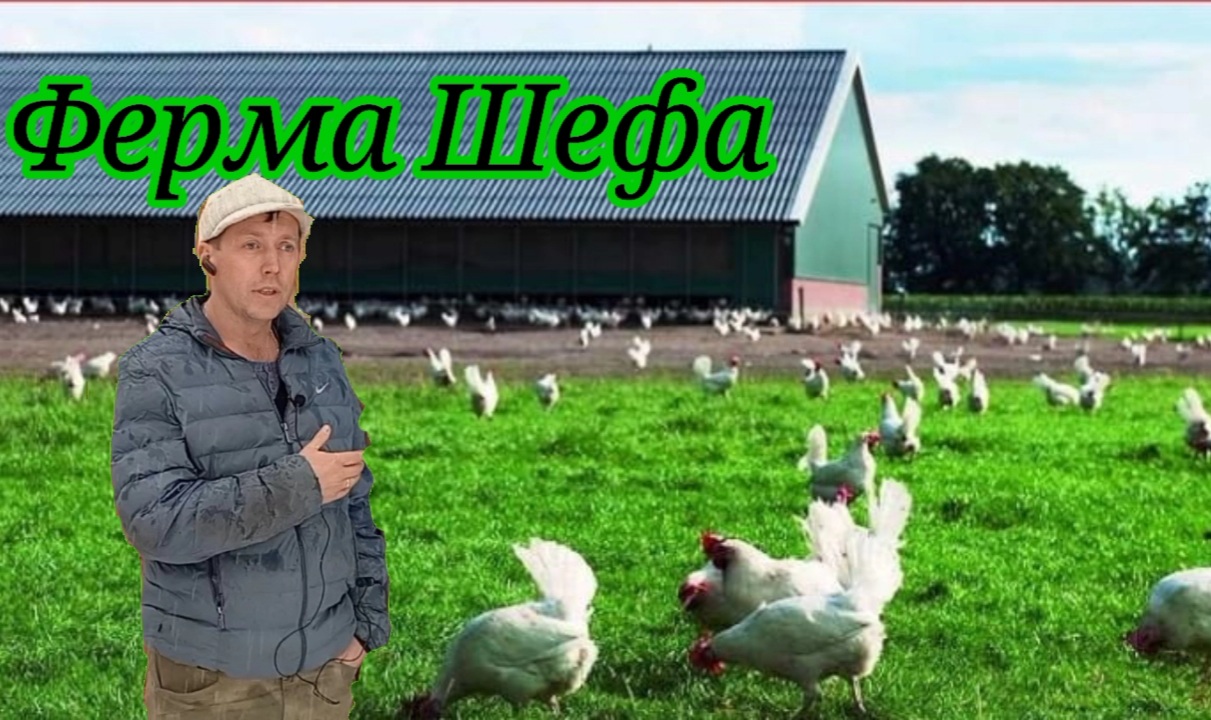 ФЕРМА ШЕФА