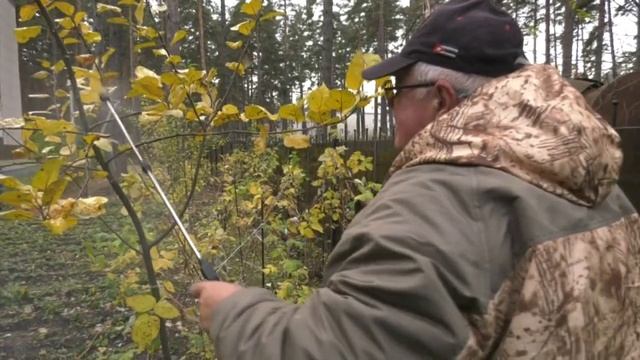 У Дачи! Последние работы в саду