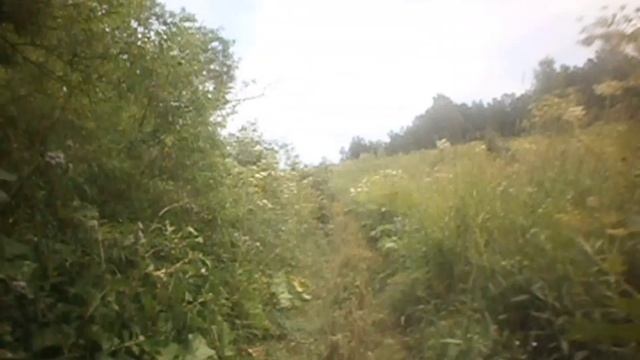 К лесному озеру.