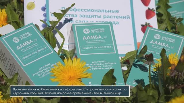 Действенный способ избавиться от одуванчиков