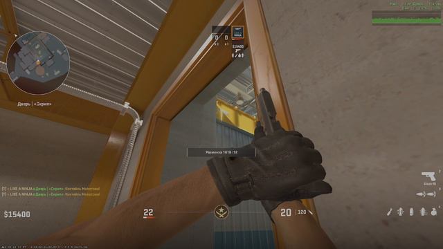 MOLLY T А будка #3