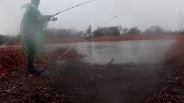Бешенный жор карася !
