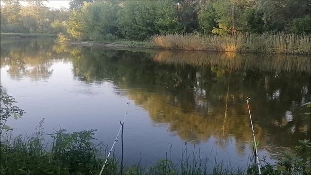 пробую ловить сома на новое приспособление.mp4