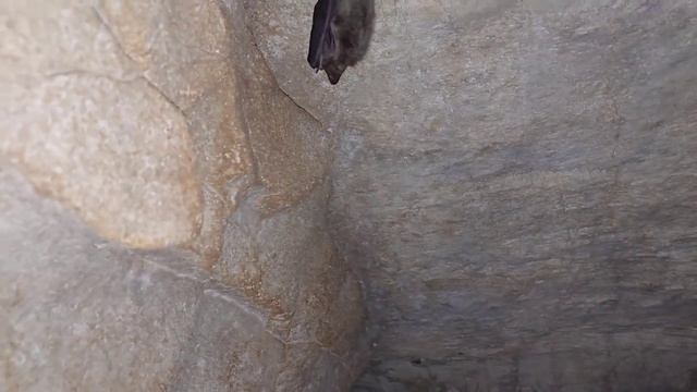 Бирюсинский залив