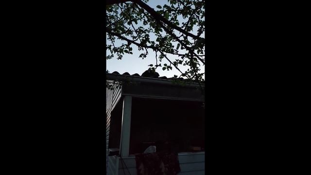 Поддерживаем спортивную форму.