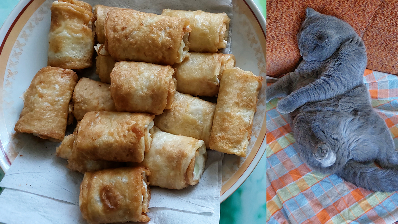 Отчет о проделанной домашней работе.