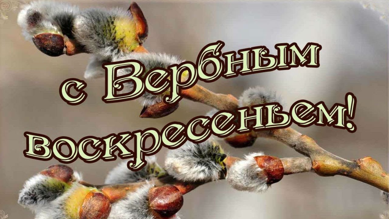 Вербное Воскресенье! Красивое Поздравление с Вербным Воскресеньем! Музыкальная Открытка!