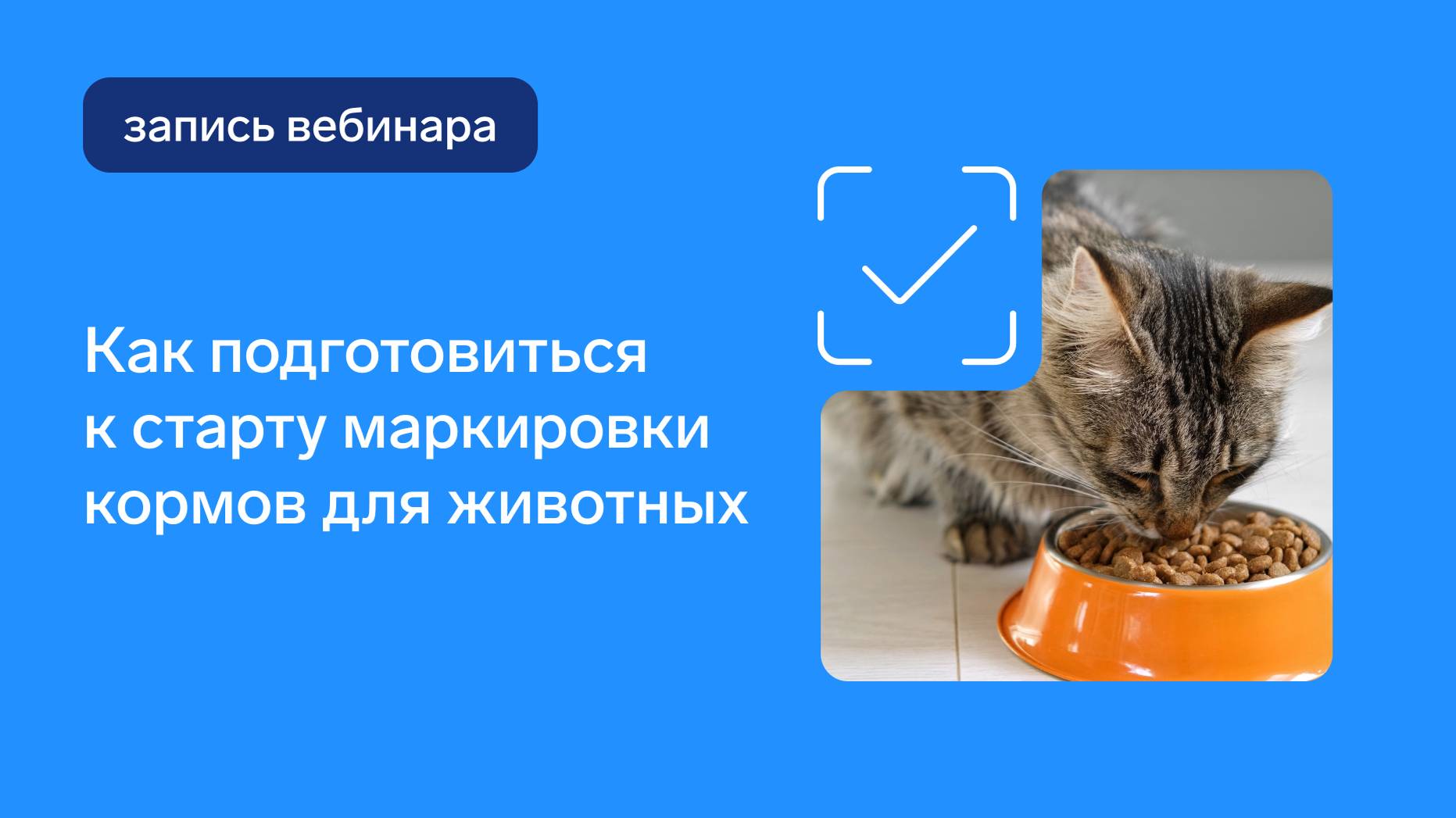 Как подготовиться к старту маркировки кормов для животных