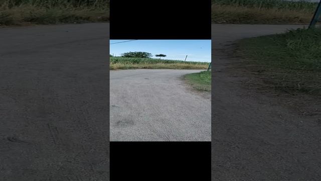 Как мы отдыхали на курорте в поселке Седово на Азовском море