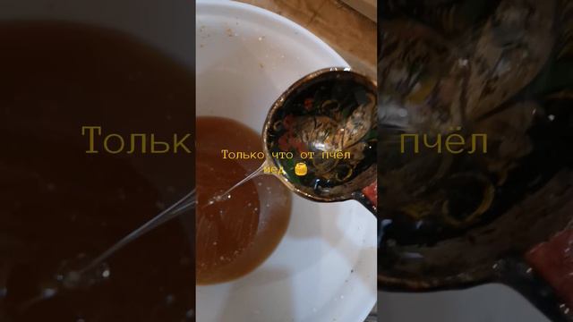 Откачка мёда, течёт жидкое золото