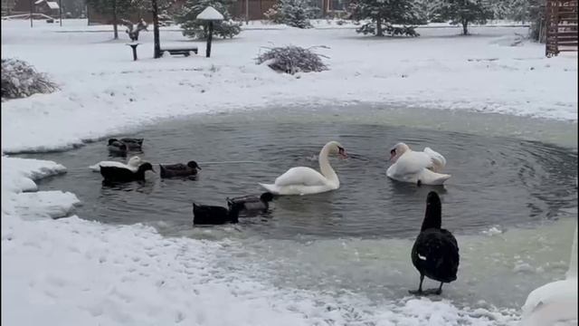 Отдых в парк-отеле Орловский. Три дня осенних каникул.