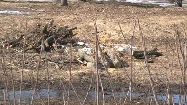 Проектирование новой аллеи по улице Комсомольской. Апрель 2010 год.