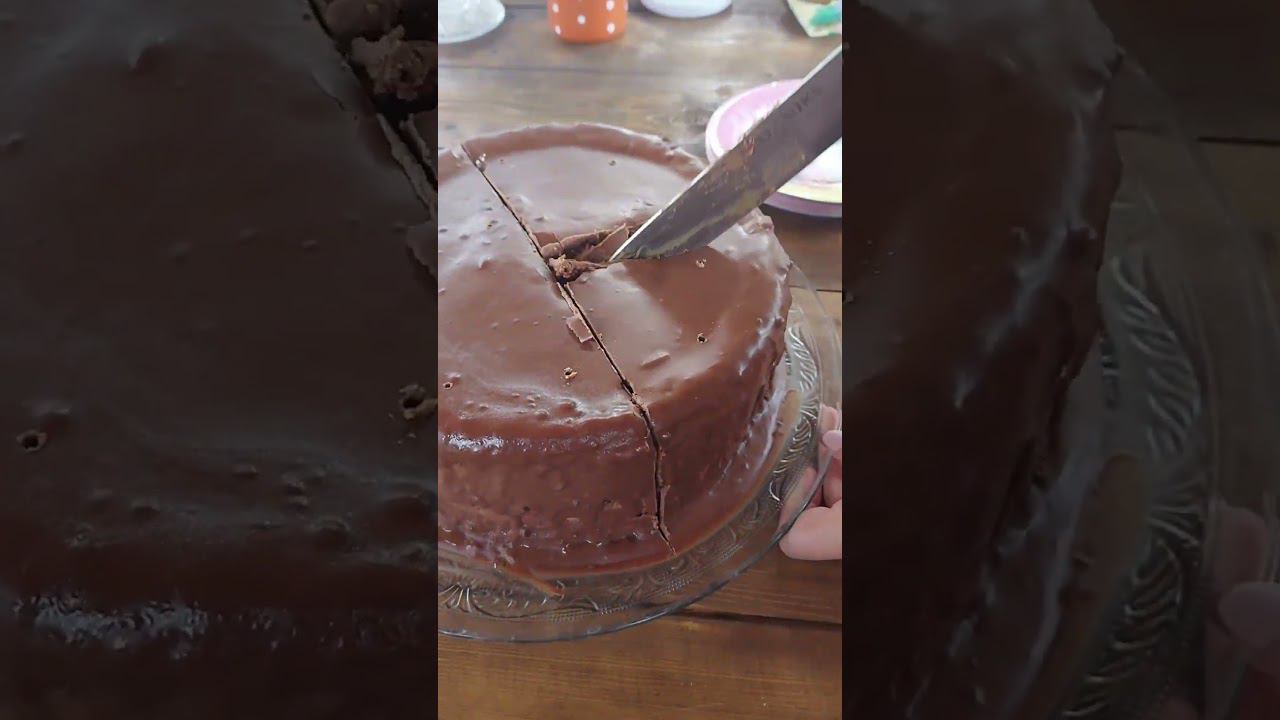 торт в честь дня рождения  внученьки Shorts