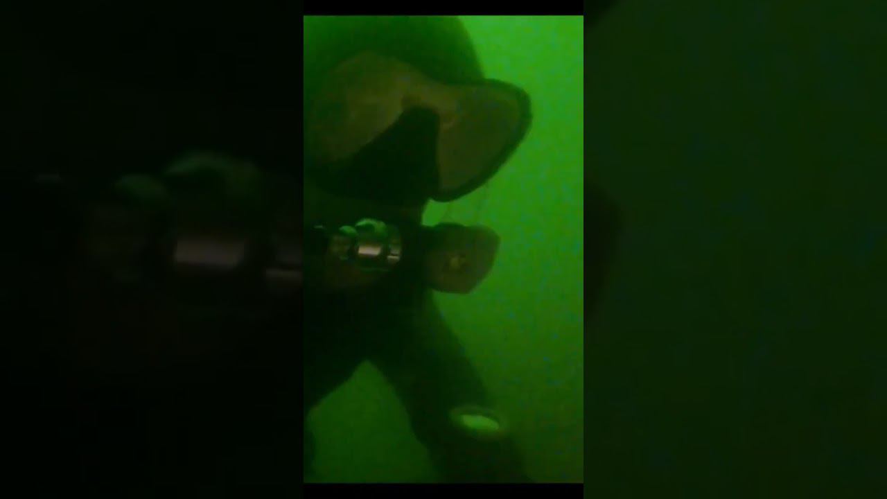 gopro , lake, 20meters, scuba diving, scuba, Russia, underwater