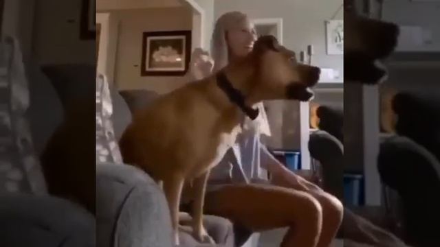 ...бей,бей, ГОЛ!!!!.mp4