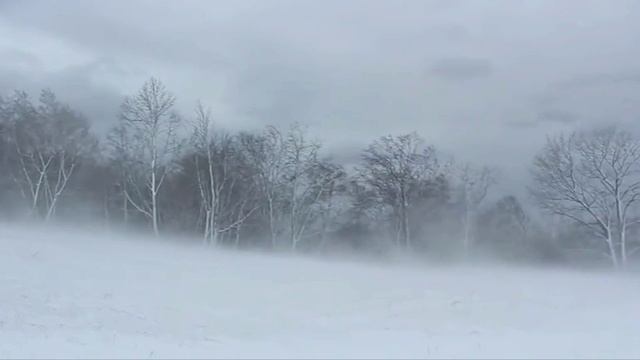 "ОТЧИЗНА" - романс души: Александр Вертинский (слова), Анатолий Пережогин (музыка, исполнение)