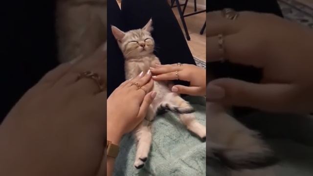 Ну вот, покушал, теперь можно и поспать.