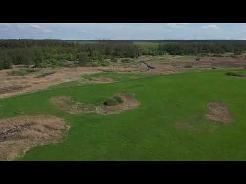 Russia, Voronezh, Usmanka river / Река Усманка, недалеко от Воронежа